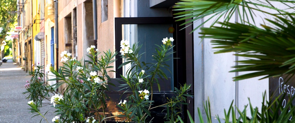 Las 6 mejores tiendas de cómics de Palma de Mallorca